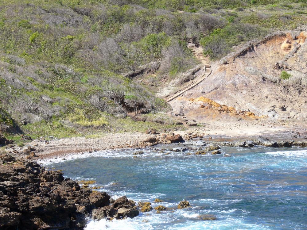 Photos - Le Parc Naturel Régional de la Martinique - Guide Tourisme & Vacances