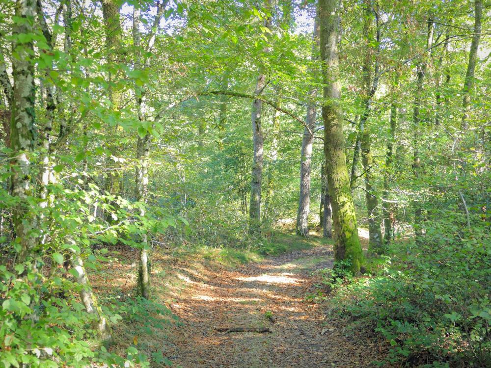 Photos - Parc Naturel Régional du Morvan - 17 images de qualité en ...