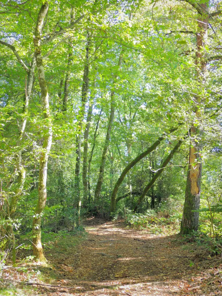 Photos - Parc Naturel Régional du Morvan - 17 images de qualité en ...