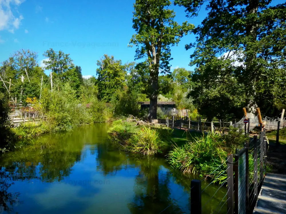 Photos - Le Parc de Thoiry - Guide Tourisme & Vacances