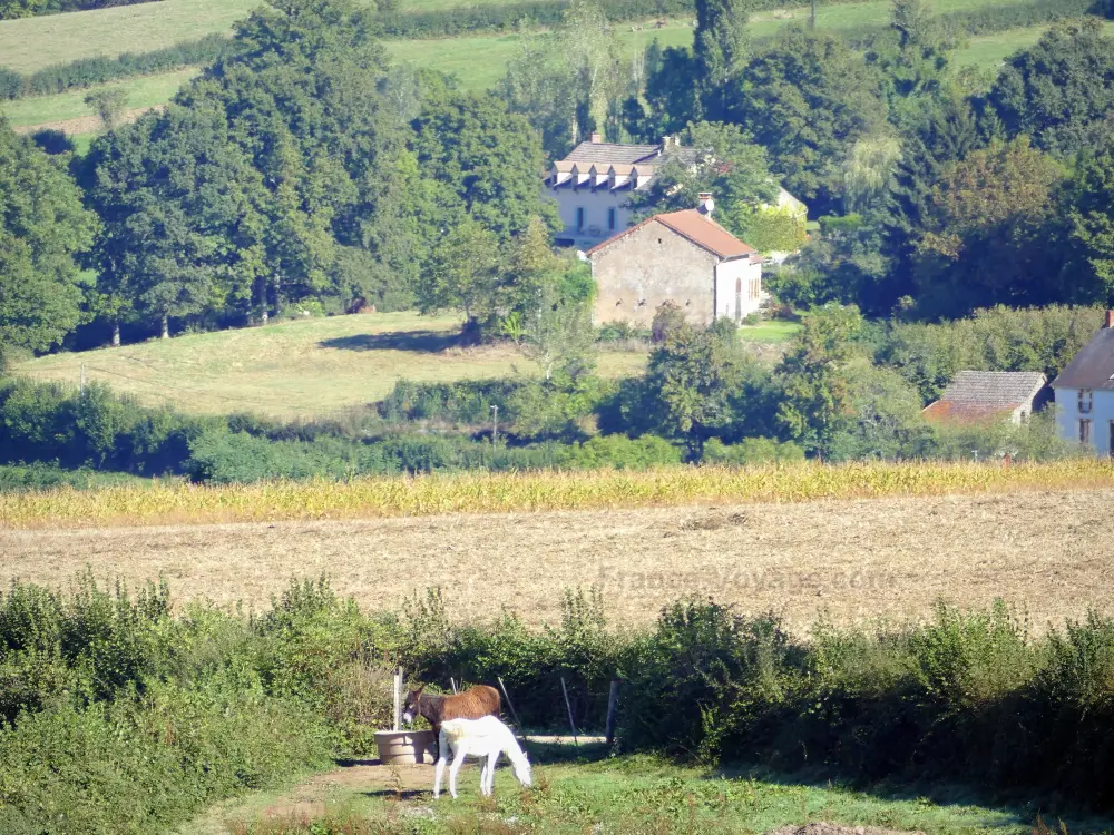 Fotos - Parque Natural Regional de Le Morvan - 17 imágenes de calidad ...