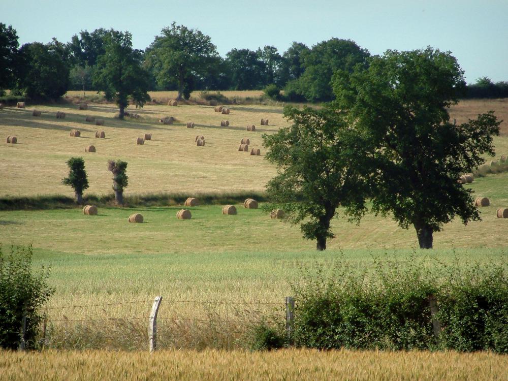 Photos - Paysages du Berry - 22 images de qualité en haute définition