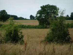 Paysages du Berry - 22 images de qualité en haute définition