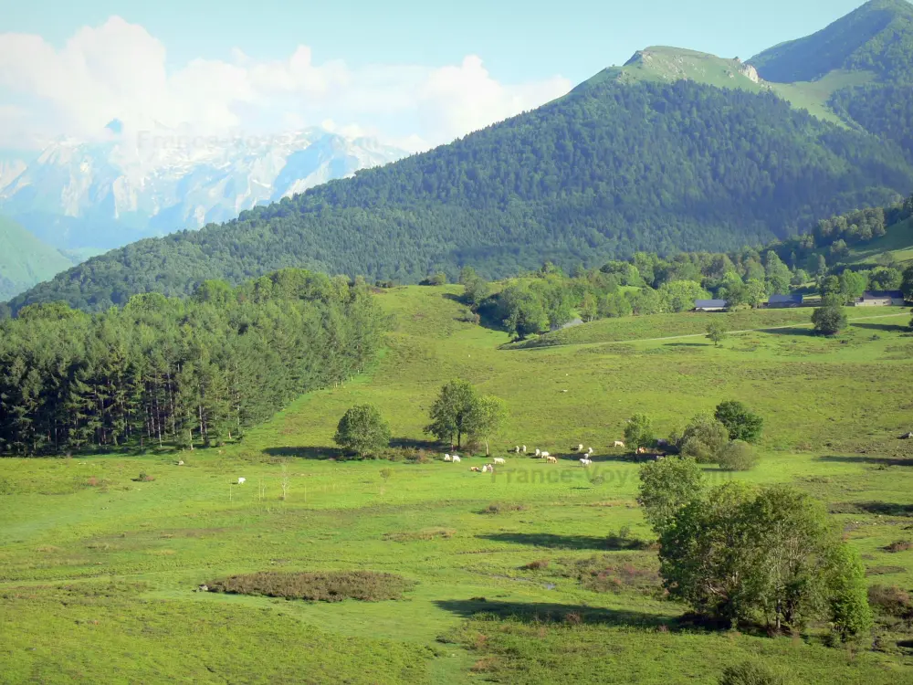Photos - Le plateau du Bénou - Guide Tourisme & Vacances