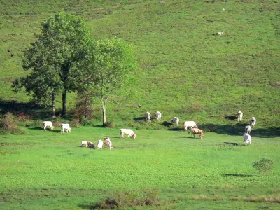 Le plateau du Bénou - Guide Tourisme & Vacances