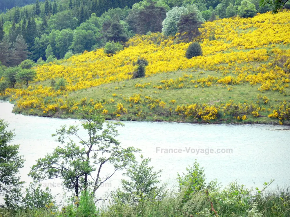 Photos - Le plateau de Millevaches - Guide Tourisme & Vacances