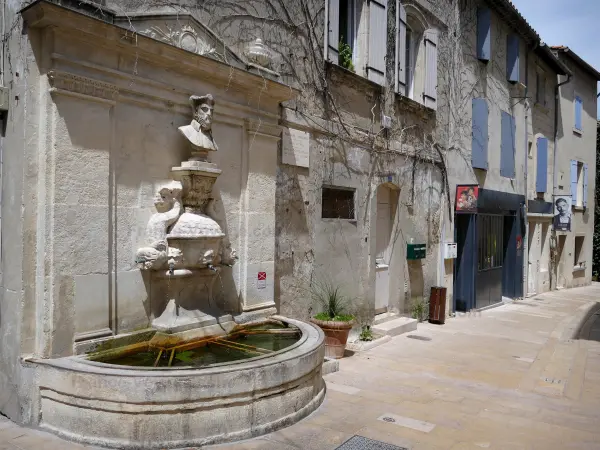 Saint-Rémy-de-Provence - Tourism & Holiday Guide