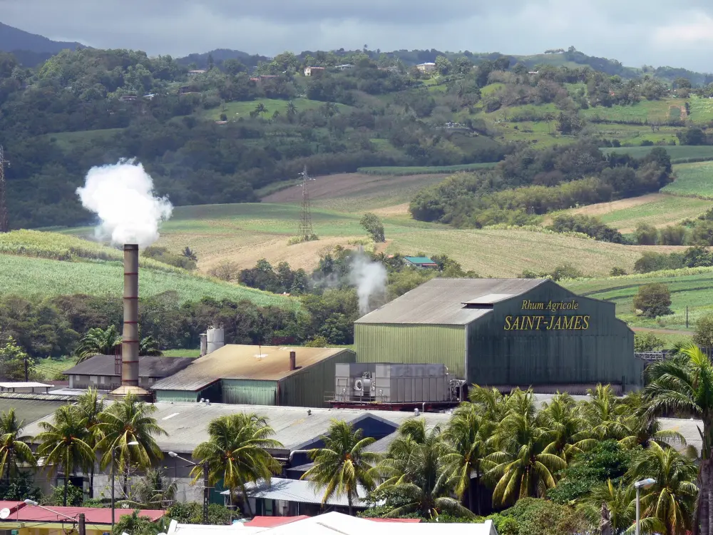Photos - Sainte-Marie and the Saint-James distillery - Tourism ...