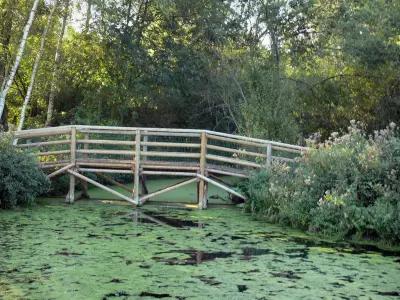 The Samara park - Tourism & Holiday Guide