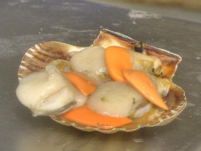 Foto's - Sint Jacobsschelp uit de baai van Saint-Brieuc - Gids voor ...