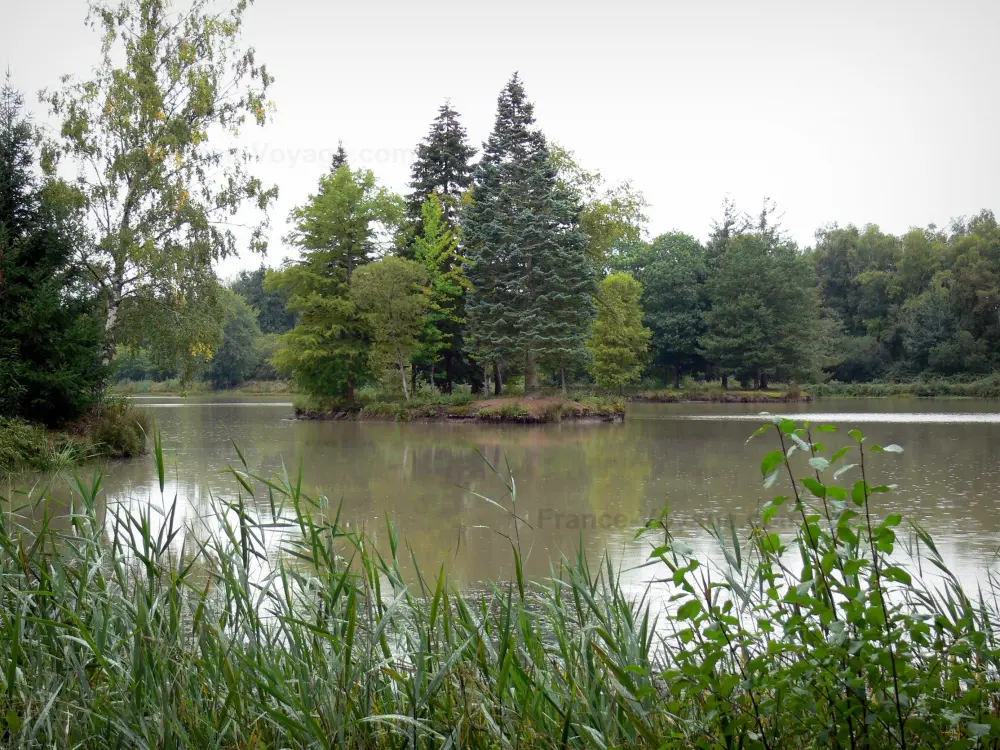 Photos - Sologne - Tourism & Holiday Guide