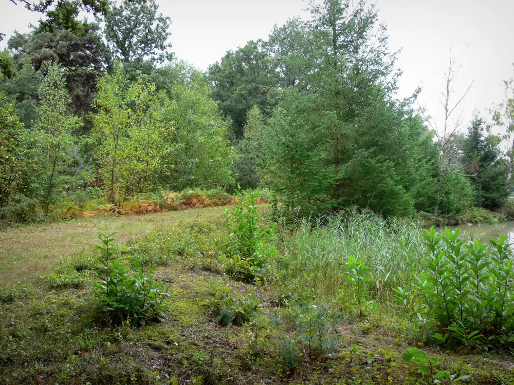 Photos - Sologne - Tourism & Holiday Guide