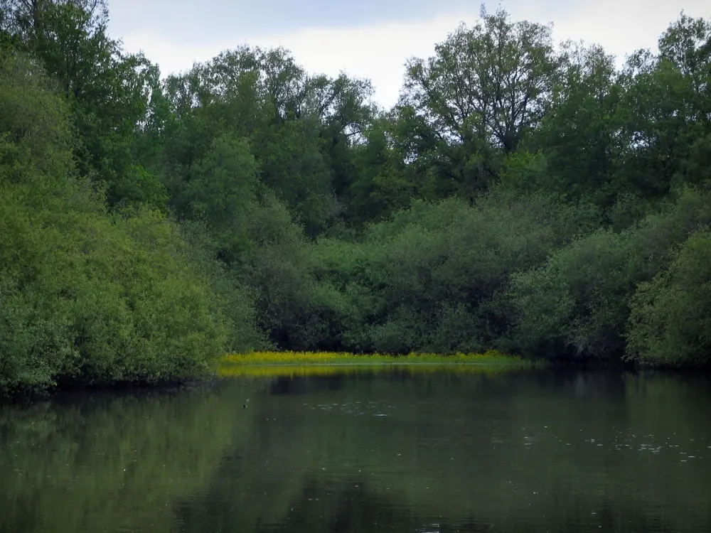 Photos - Sologne - Tourism & Holiday Guide