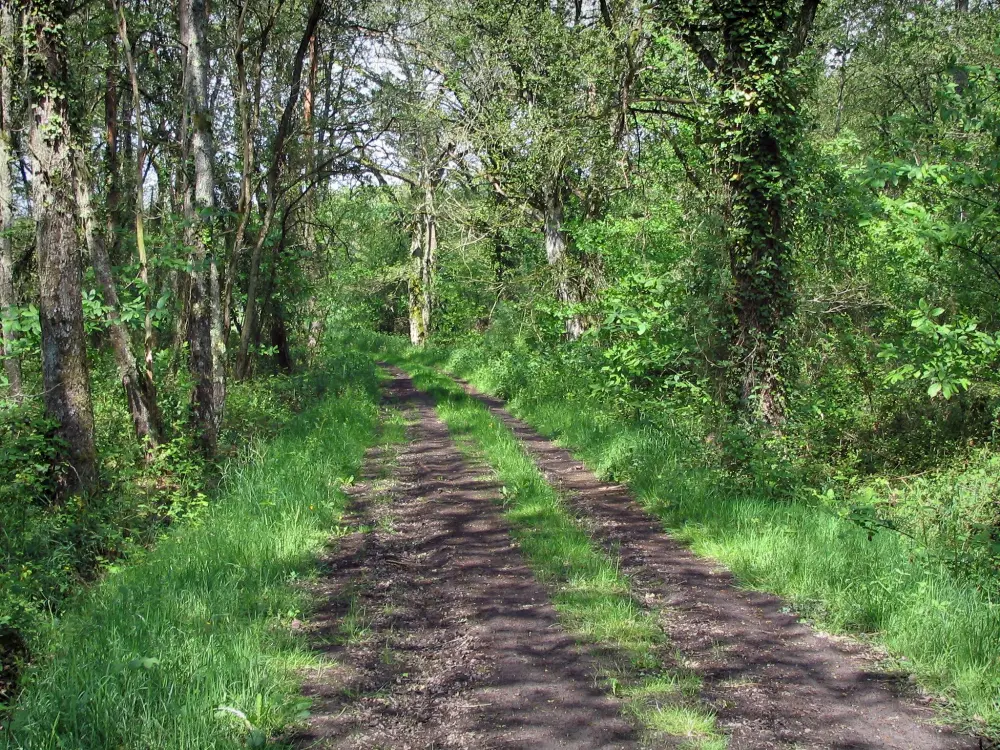 Photos - Sologne - Tourism & Holiday Guide