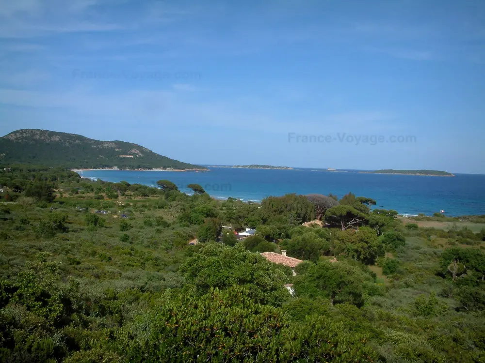 Bilder - Die Strände von Palombaggia und von Santa Giulia - Führer ...