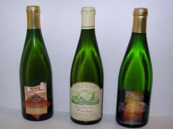 Le vignoble d'Alsace - Guide Gastronomie & Vacances