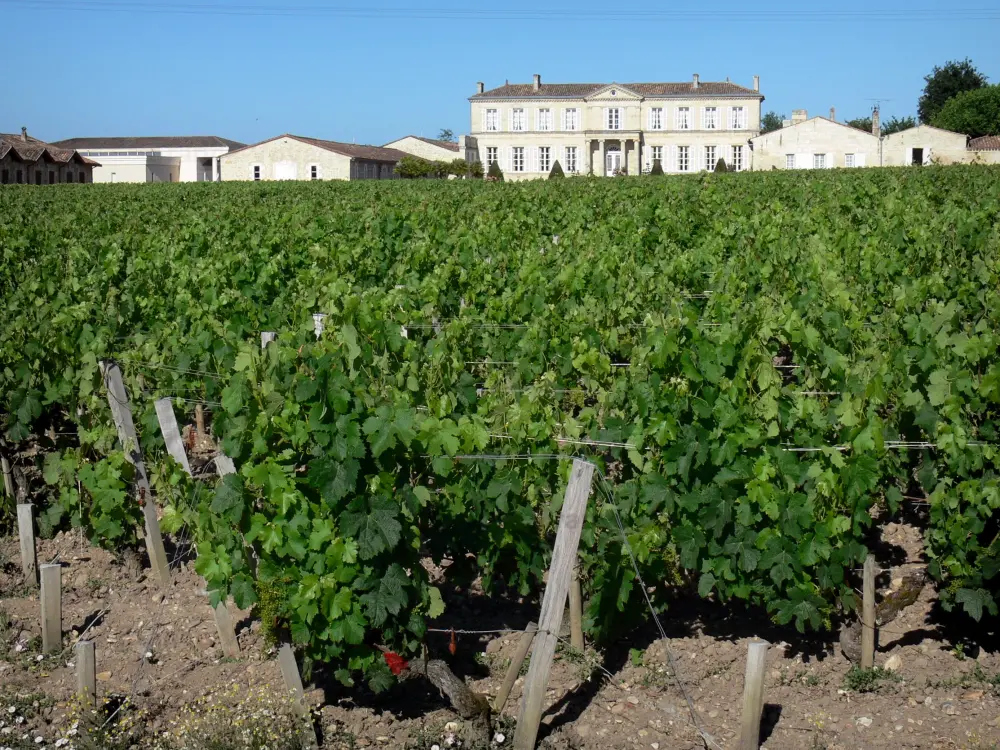Photos - Le vignoble de Bordeaux - Guide Tourisme & Vacances