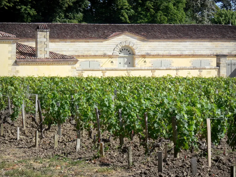 Photos - Le vignoble de Bordeaux - Guide Tourisme & Vacances