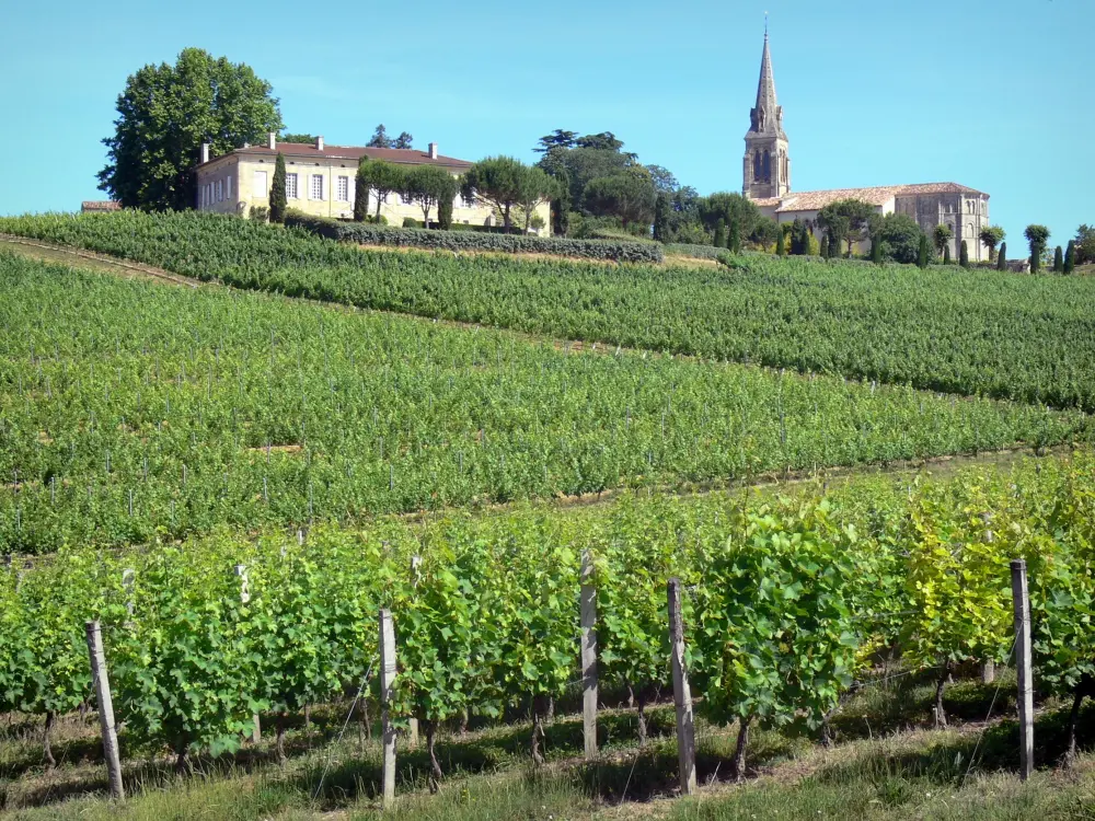 Photos - Le vignoble de Bordeaux - Guide Tourisme & Vacances