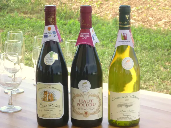 Le vignoble du Haut-Poitou - Guide Gastronomie & Vacances