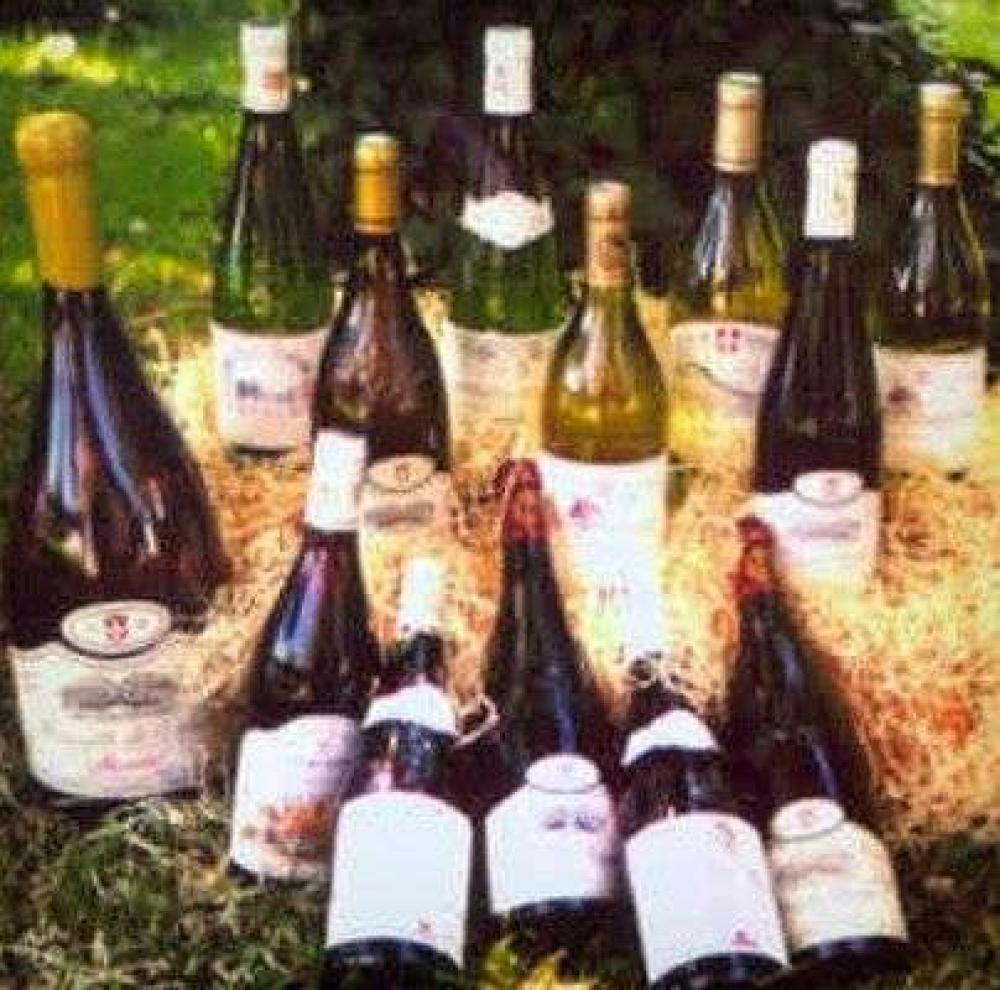 Photos - Les vins de Savoie - Guide Gastronomie & Vacances