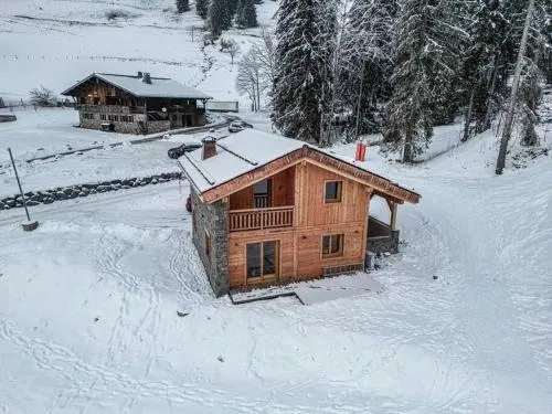 Alpen Chalet - Vacation rental in Morzine
