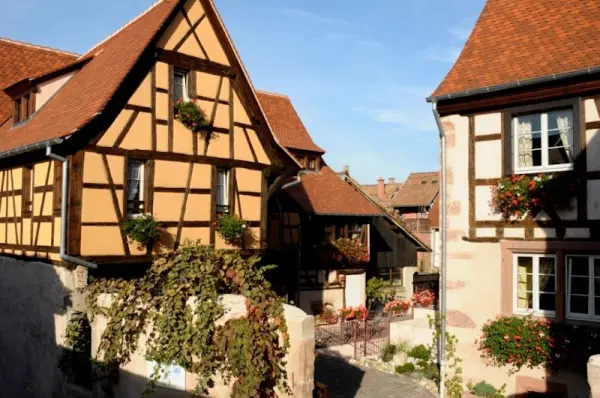 La Cour du Bailli - Restaurant à Bergheim