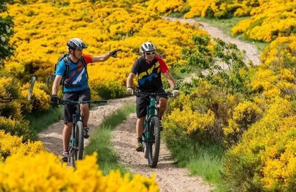 Descente en VTT de la montagne ardéchoise, sud de l'Ardèche - Activité ...