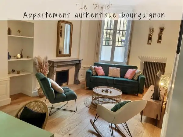 Le Divio - Homillesime - Vacation rental in Dijon