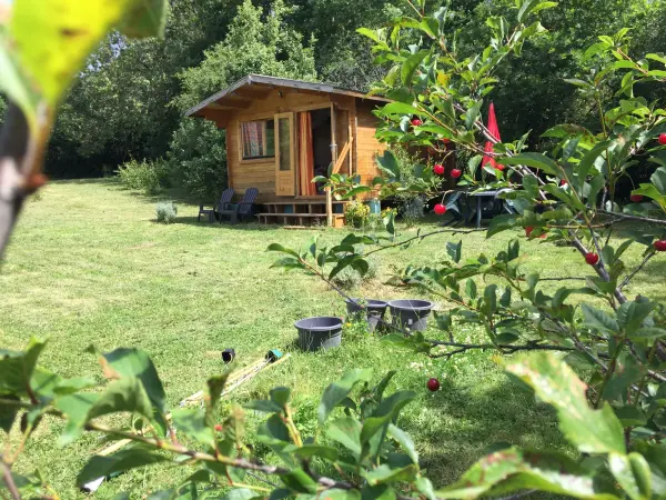 The Forest Enclosure - Vacation rental in Saint-Honoré-les-Bains