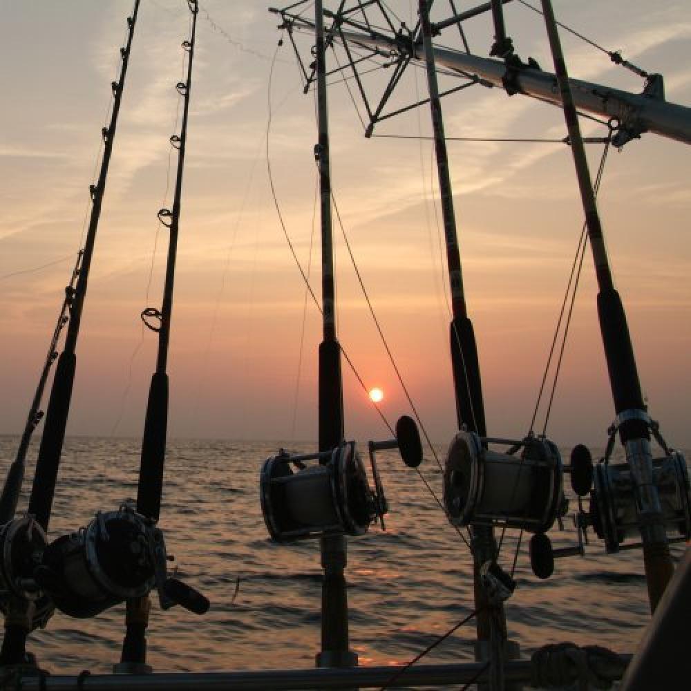 Bilder - Sportliches Angeln auf dem Meer - Freizeitaktivität in Sanary ...