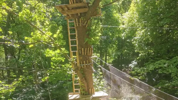 Treetop adventure course in the heart of Poissy - Leisure activity in ...