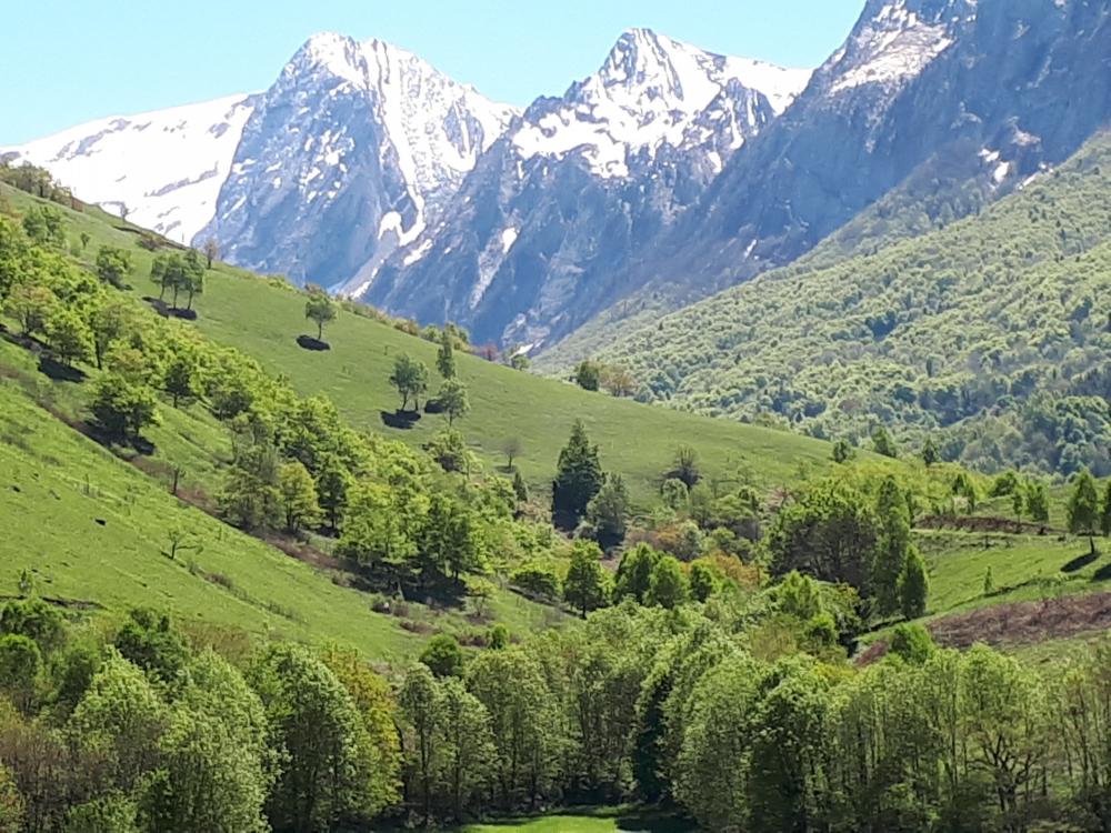 Photos - The Aspe Valley - Tourism & Holiday Guide