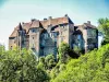 The Boussac castle - Tourism & Holiday Guide